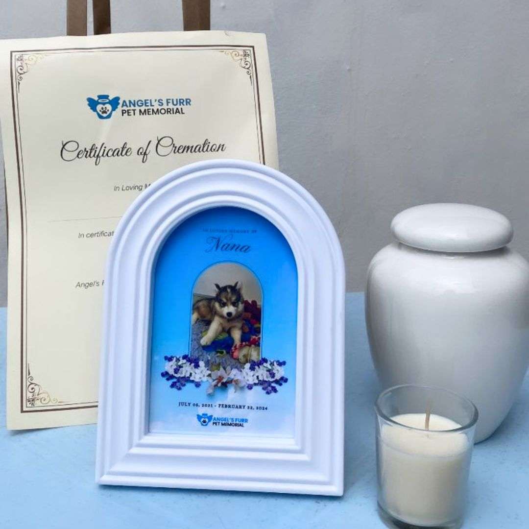 Angel's Furr - Pet Memorial Services in Klang Valley